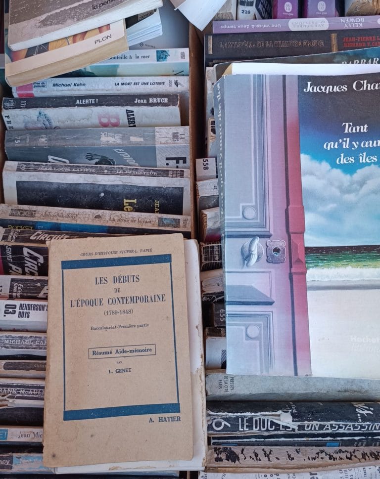 Conoce Montolieu, el pueblo de las librerías - Carretera y Canta